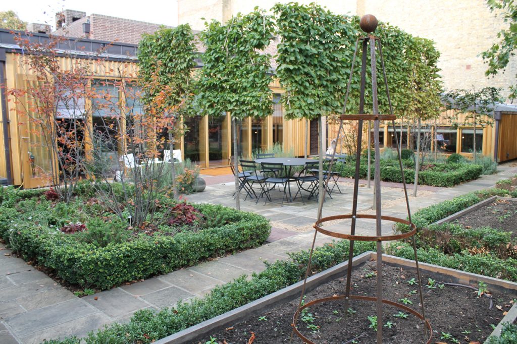 London Courtyard Garden - Outerspace