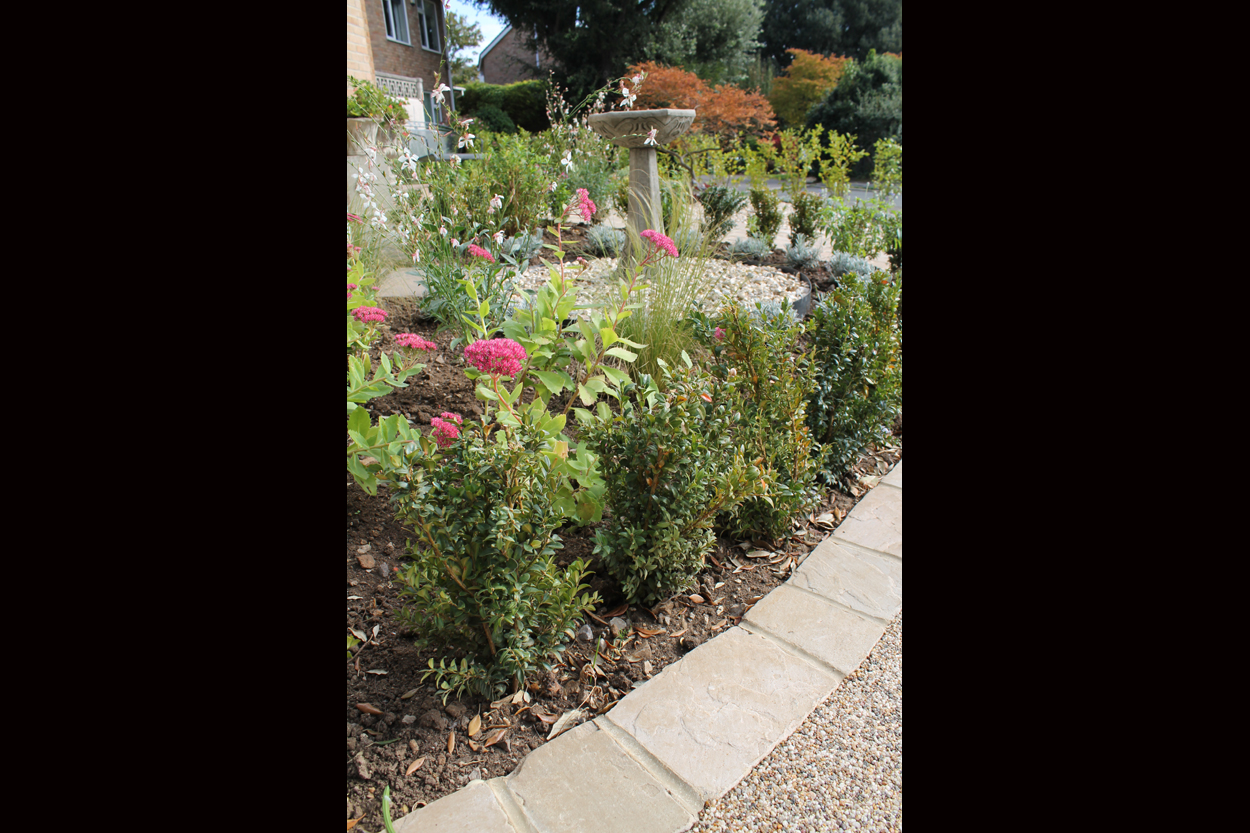 Curved Front Garden with Prairie Planting - Outerspace